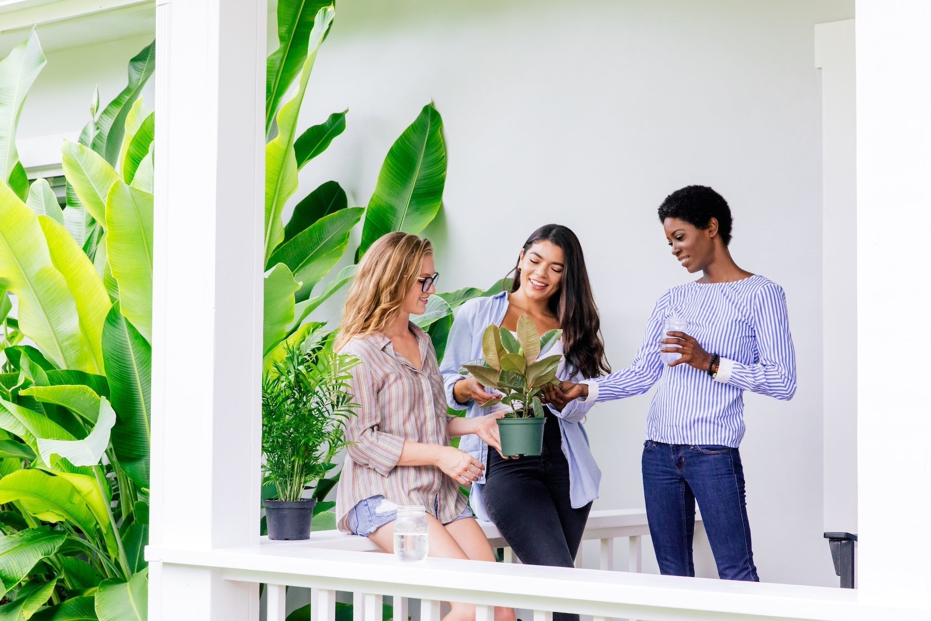 Show Your Love with Mother’s Day Plants Delivery | Plant Proper