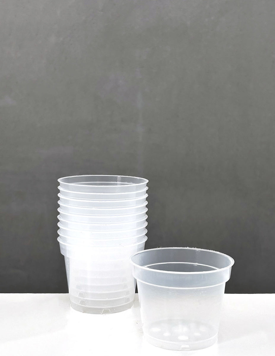 2" Pot – Plant Proper