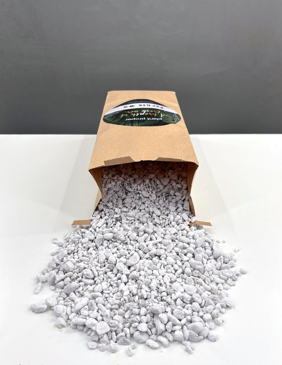Perlite #2 – Plant Proper